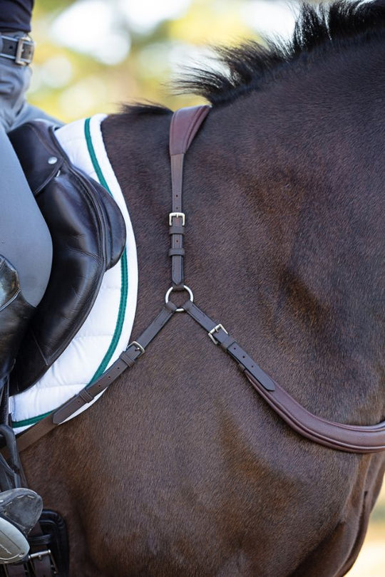 Pressure Relief Girths for Dressage, Jumping, Eventing & More ...
