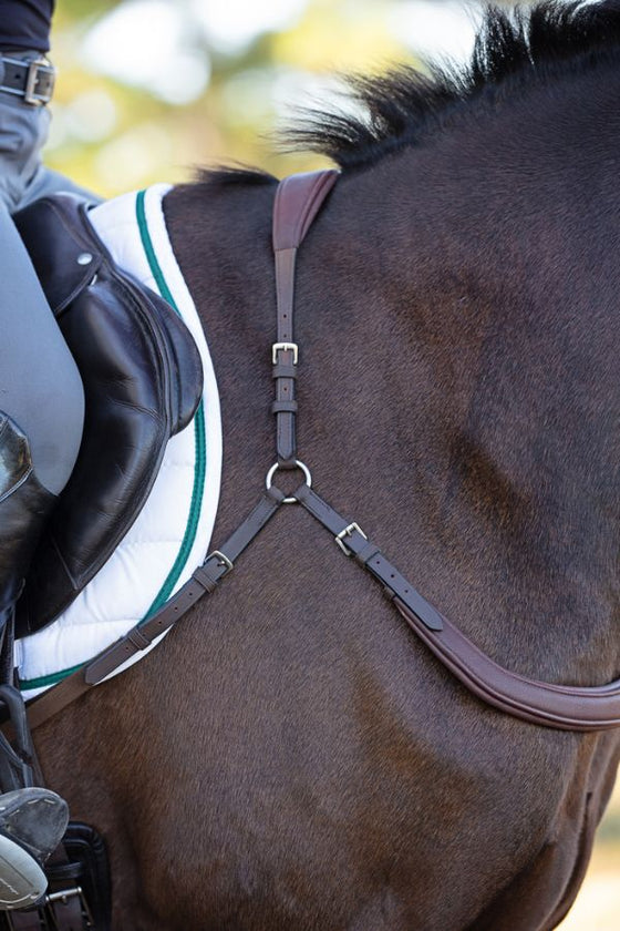 Correct Connect™ – Equestrian Training Aids, Tack, Reins, & Apparel ...