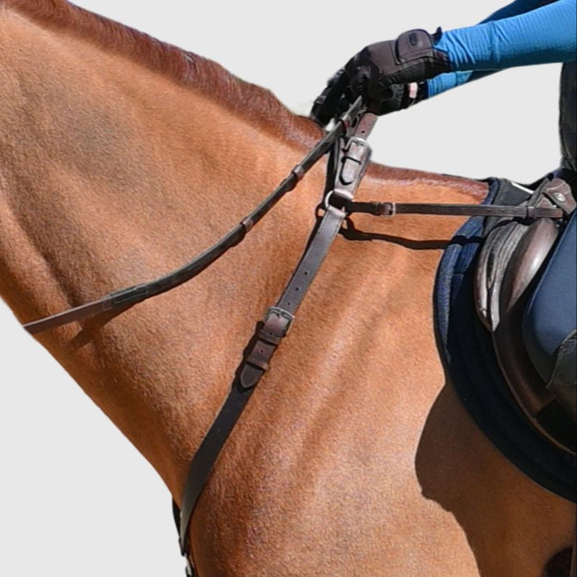 3-Point Breastplate with Double Neck Strap – CorrectConnect
