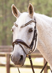Correct Connect™ – Equestrian Training Aids, Tack, Reins, & Apparel ...
