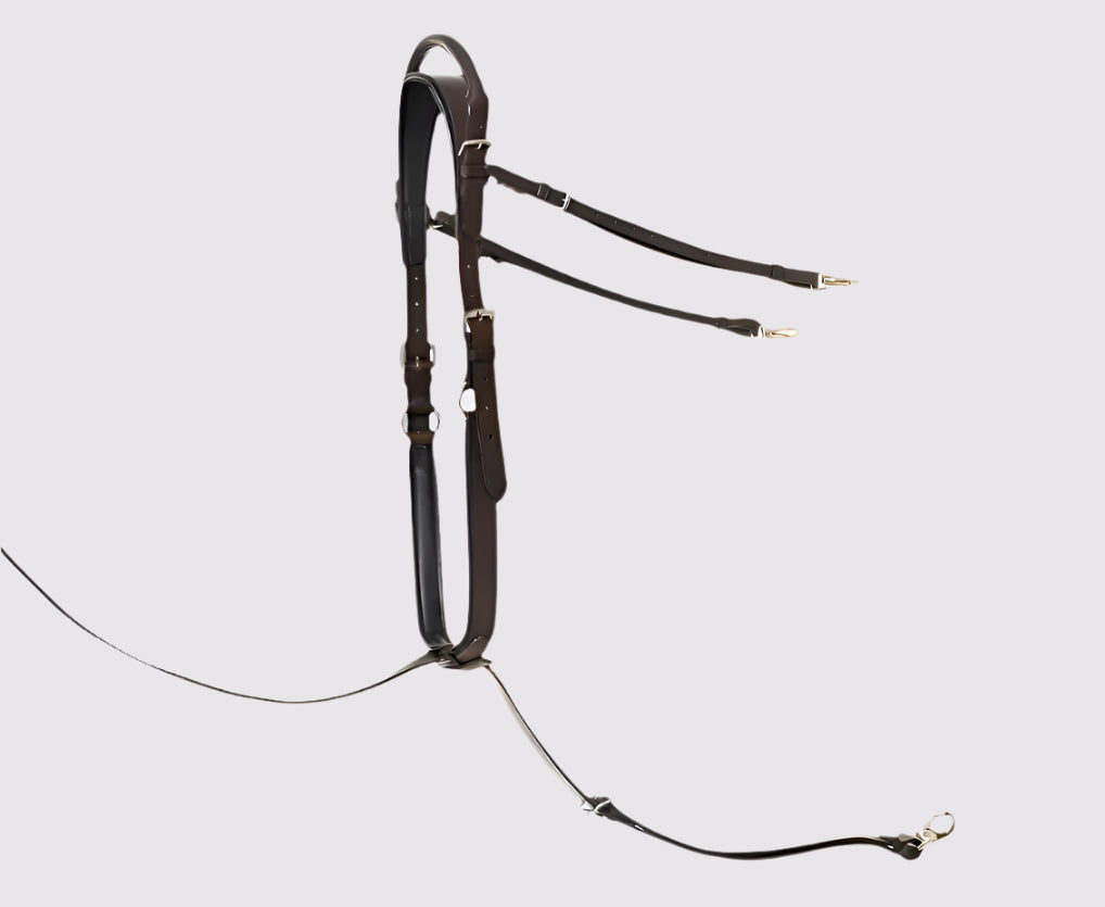 Standing Martingale Add-on for Double Neck Strap – CorrectConnect