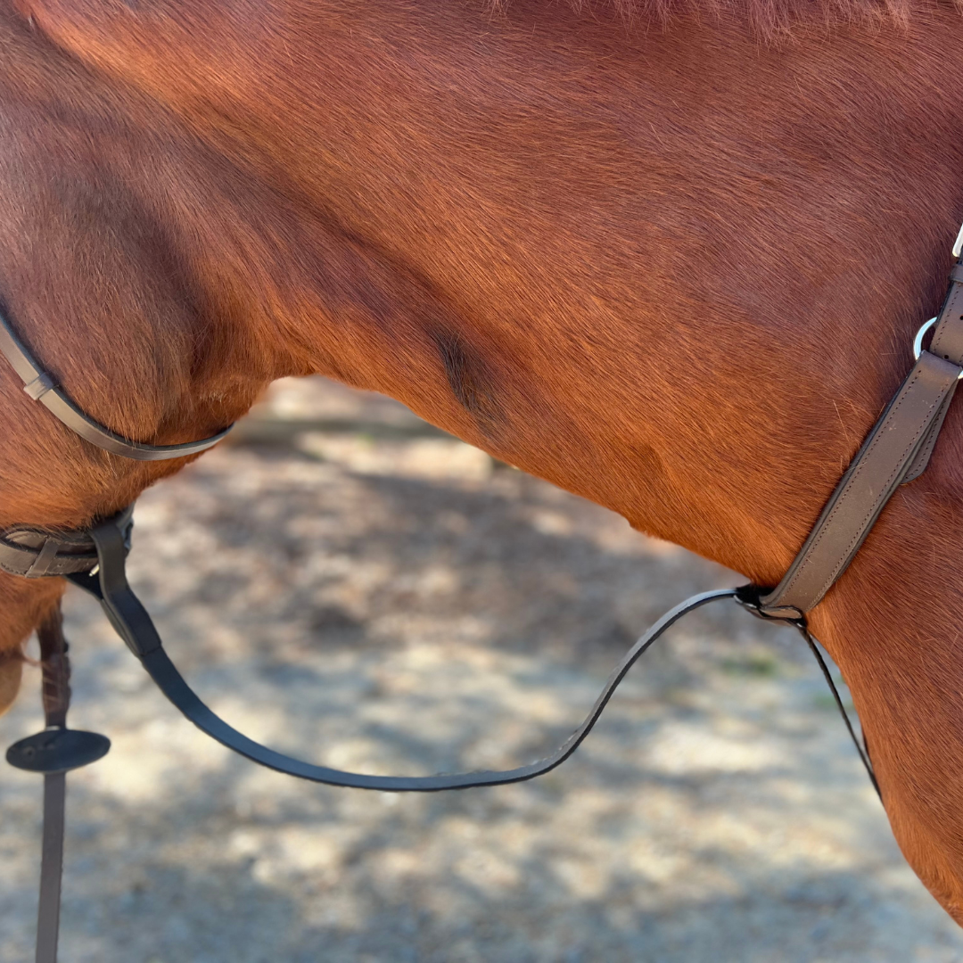 Standing Martingale Add-on for Double Neck Strap – CorrectConnect