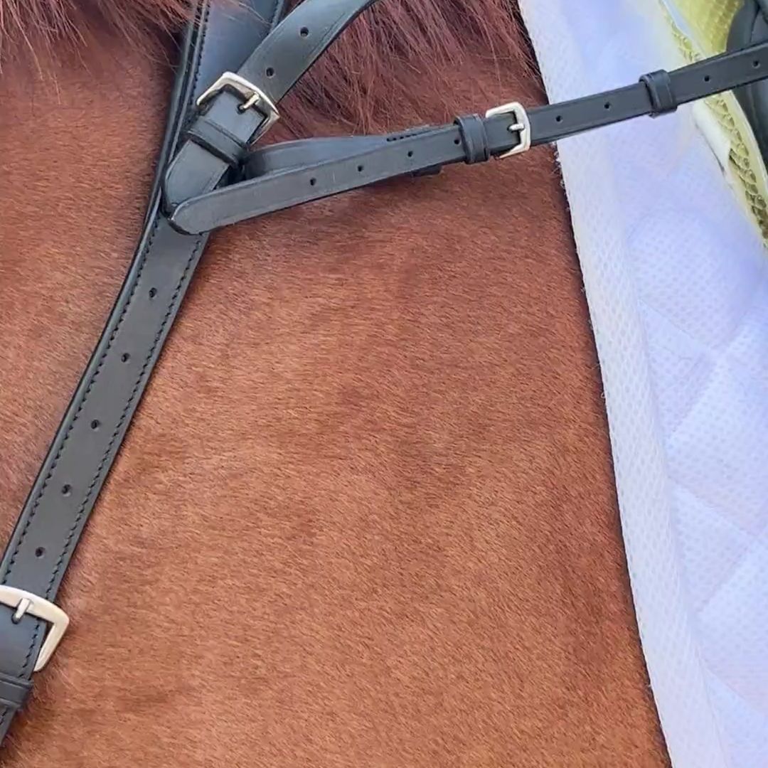 Double Neck Strap – CorrectConnect