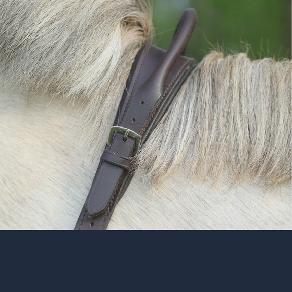 Double Neck Strap – CorrectConnect