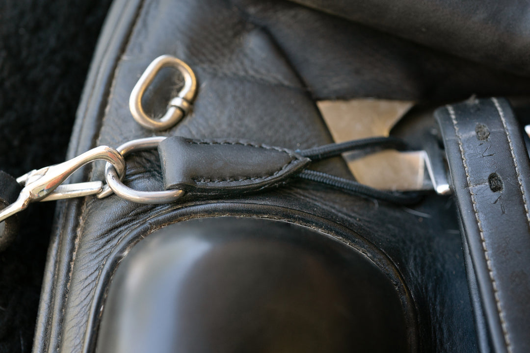 Correct Connect™ – Improve your riding, Improve your horse – CorrectConnect